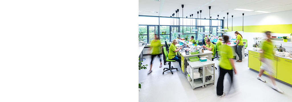 Labor Leipzig: Ihr Dentallabor vor Ort